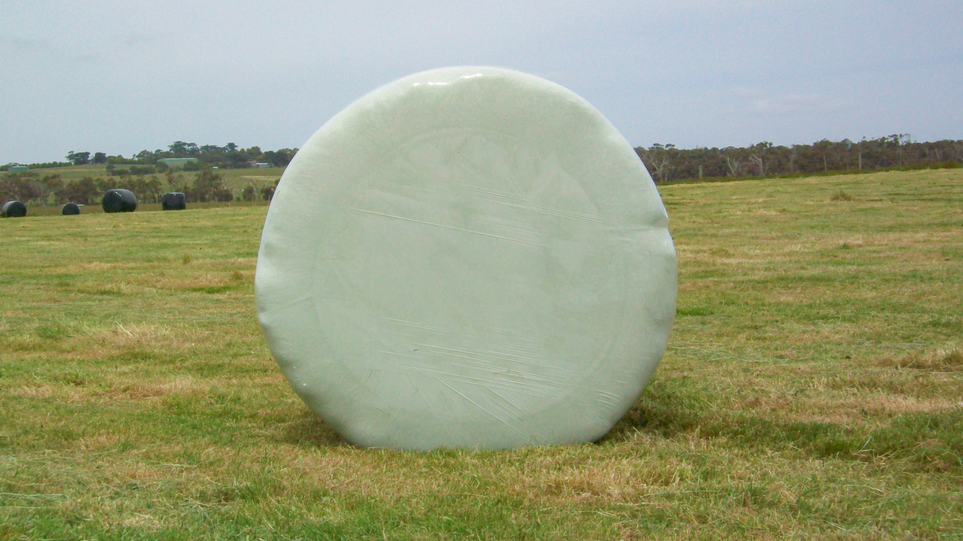 SilotitePro1800, Ballenverpackung, Silage, Landwirtschaft