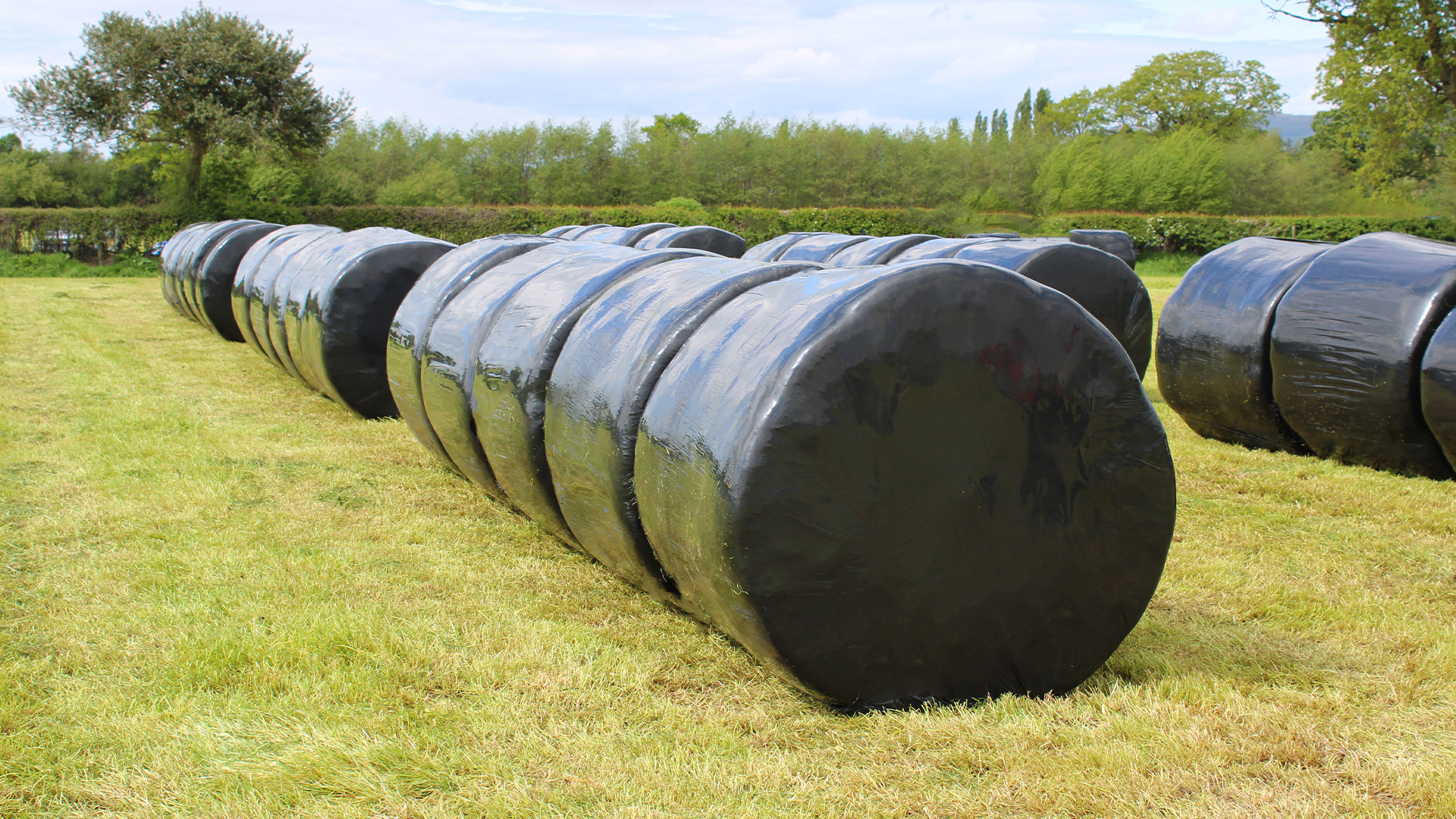 Silotite, bale wrap, silage, farming, livestock